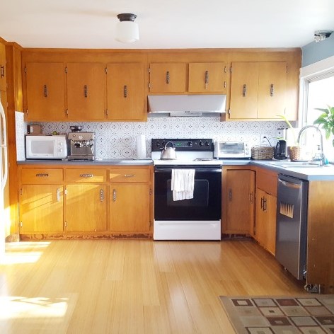 Taking the Leap and Starting a Kitchen Renovation – Plaster & Disaster ...